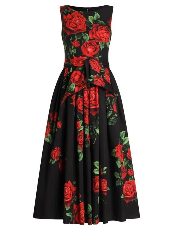 Dolce & Gabbana Rose-print Poplin Dress Dresses - Multicolor