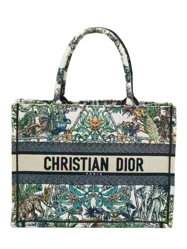 Dior 2023 Book Etoile De Voyage Tote Bag - Neutrals