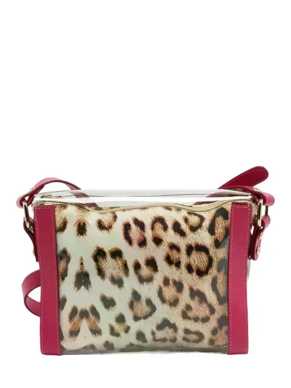 Roberto Cavalli Leopard-print Crossbody Bag - Neutrals