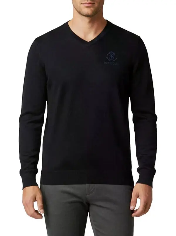 Roberto Cavalli Embroidered Fine-knit Sweater - Blue