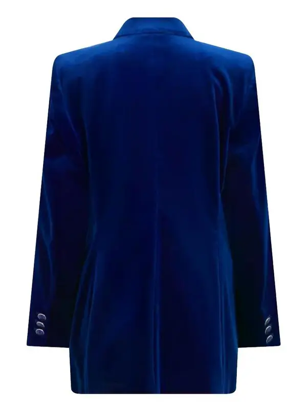 Alberta Ferretti Double-breasted Velvet Blazer - Blue