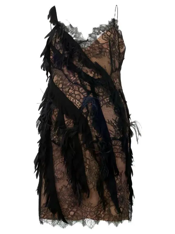 Alberta Ferretti Feather-embellished Lace Mini Dress - Black