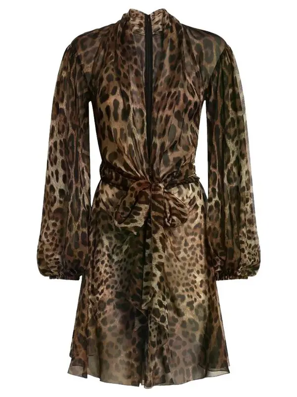 Dolce & Gabbana Leopard Print Chiffon Maxi Dress - Neutrals