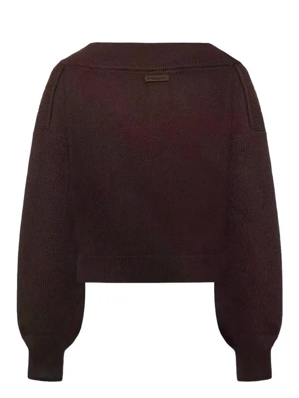 Pinko Cropped Wool Sweater - Brown