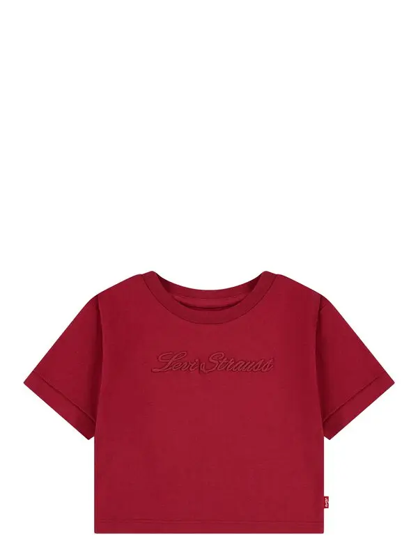 LEVI'S Teenager Script 3d Tee - Neutral / Deep Claret