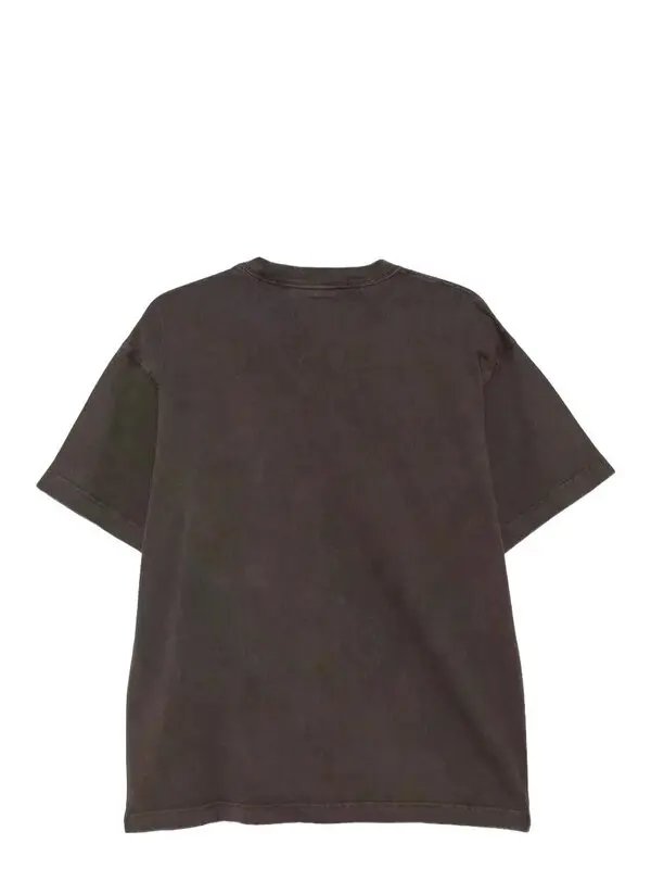 Carhartt Work In Progress Vista T-shirt - Brown
