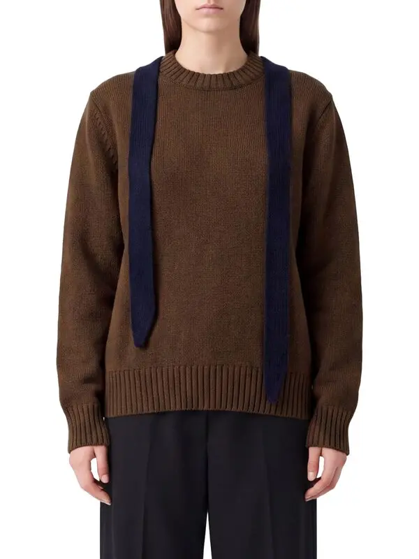 Sacai Wool Crewneck Sweater With Contrast Panel And Embroidery - Brown