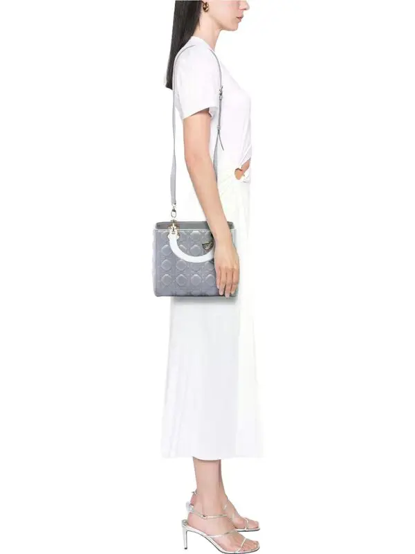 Dior Lady Satchel - Grey