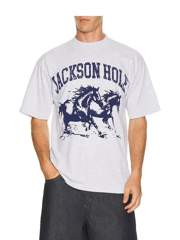 DIAMOND CROSS RANCH Blue Horses Tee In . Also - Grey