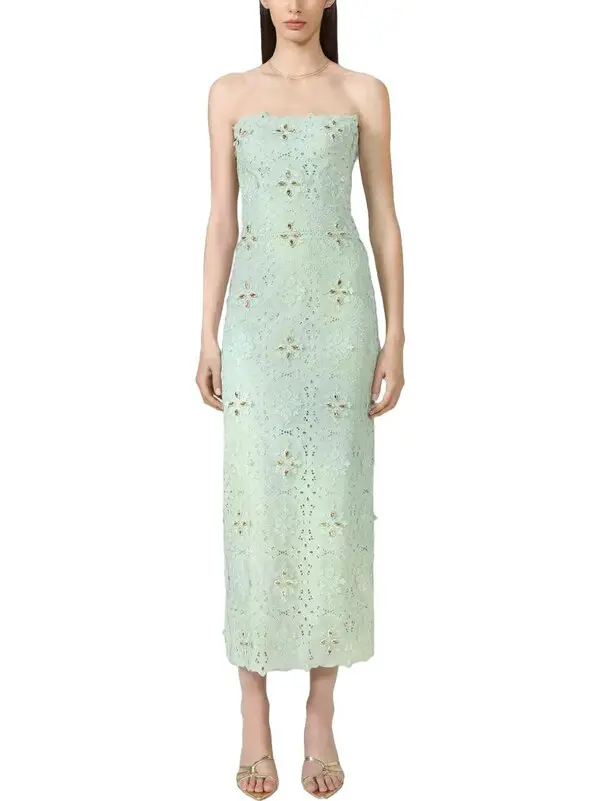 Costarellos Renelle Embroidered Lace Midi Dress - Green