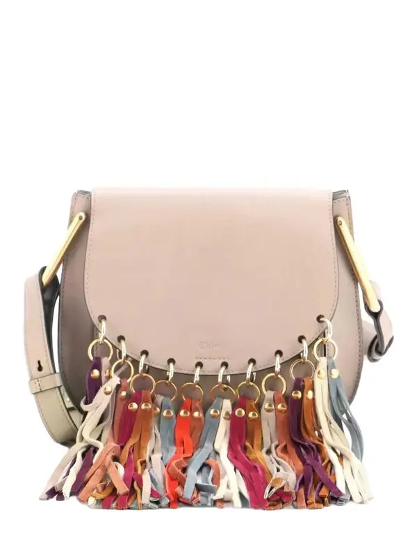 Chloé Multicolor Fringe Hudson Bag Leather Small Shoulder Bag - Grey