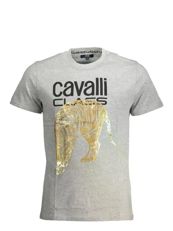 Roberto Cavalli Tiger-print Short-sleeve T-shirt - Grey
