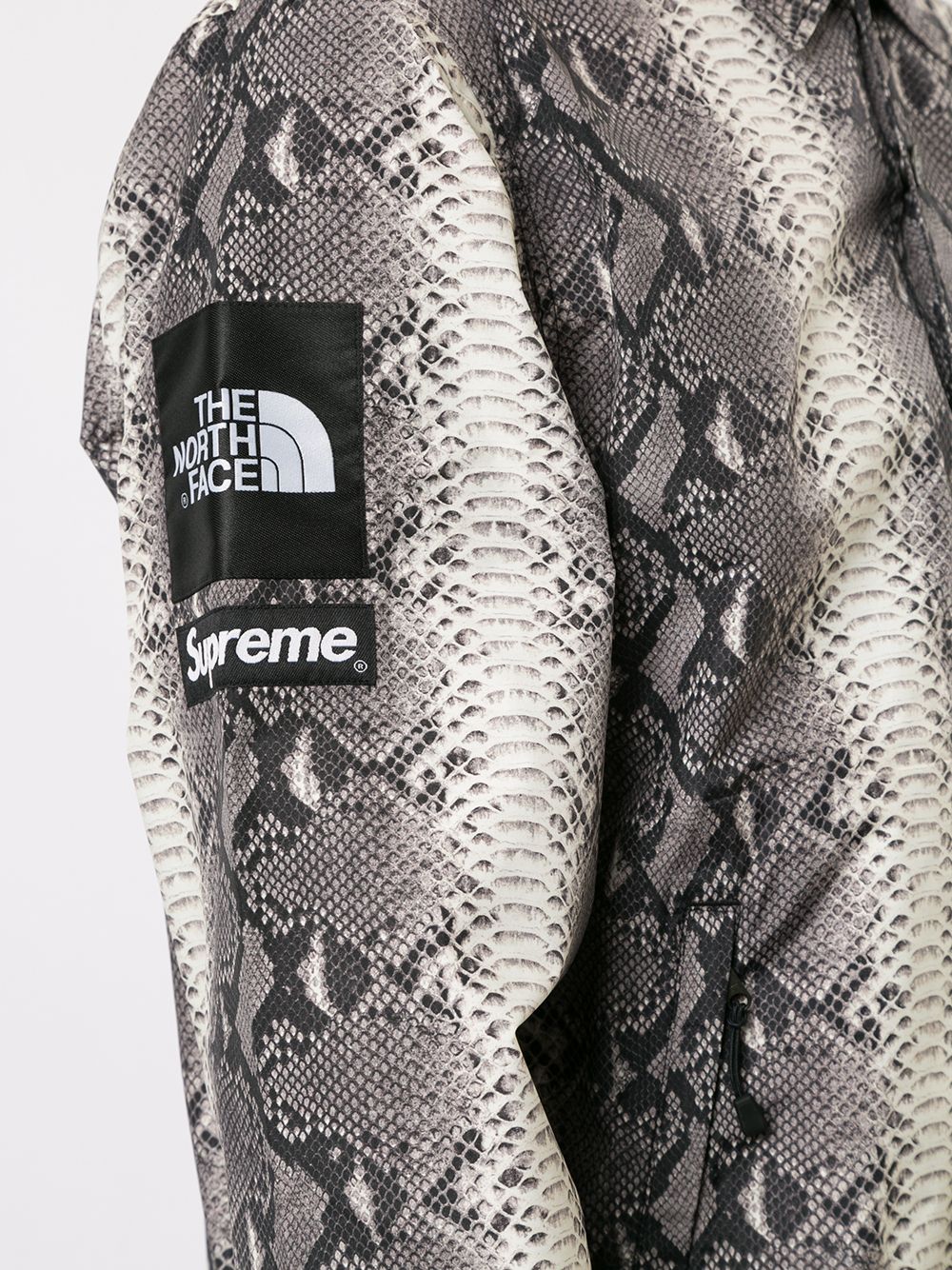 Supreme X The North Face Snakeskin-Print Taped Seam Jacket