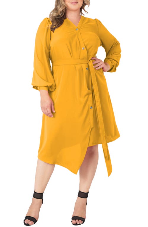 STANDARDS & PRACTICES Standards & Practices Asymmetrical Long Sleeve Shirtdress
