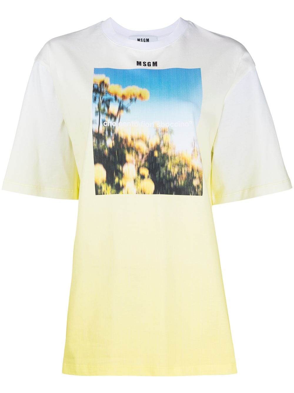 MSGM MSGM graphic logo-print t-shirt
