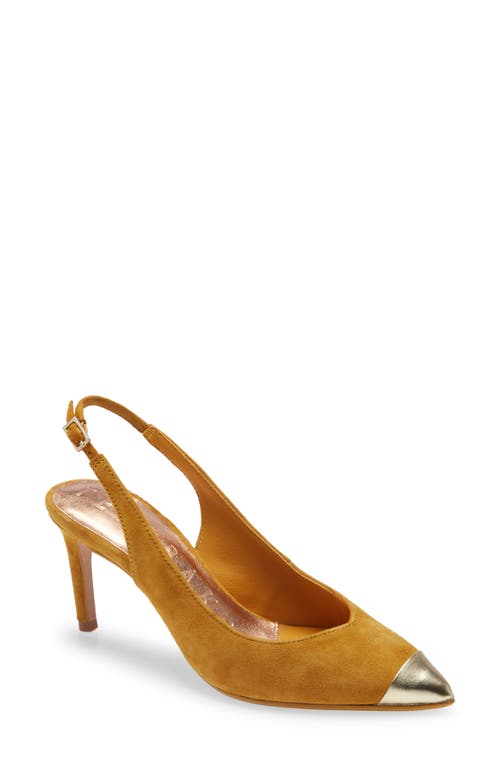 Ted Baker London Kinnip Pointed Toe 