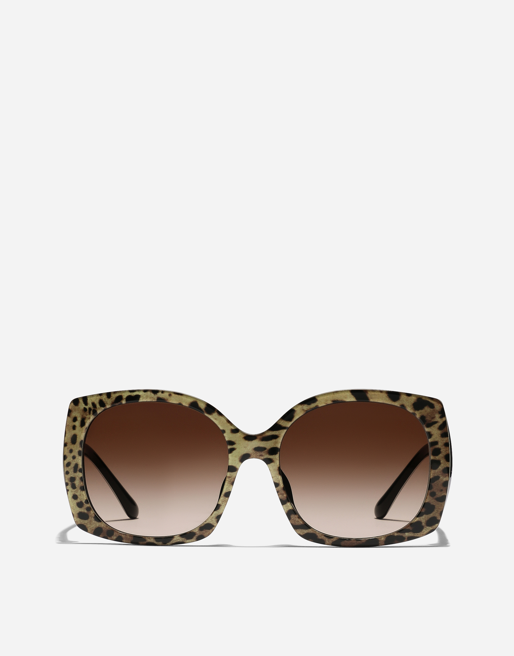 Dolce & Gabbana Print Family Sunglasses - Leo Print  display picture 2