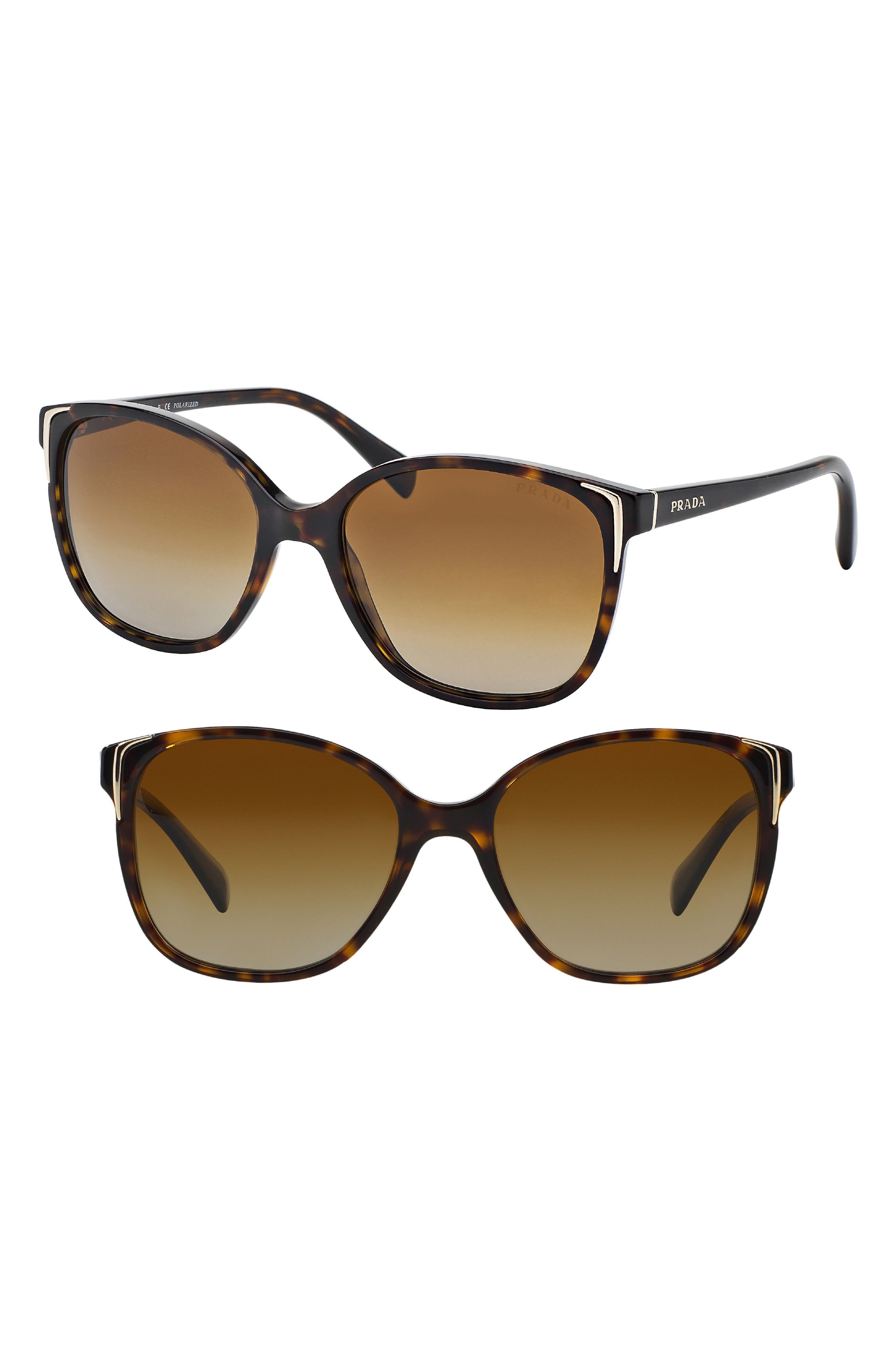 Prada 55mm Polarized Cat Eye Sunglasses - Havana | Editorialist display picture 1