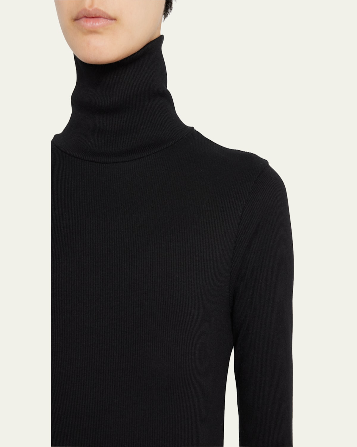 Eterne Long-Sleeve Turtleneck Maxi Dress - Black | Editorialist