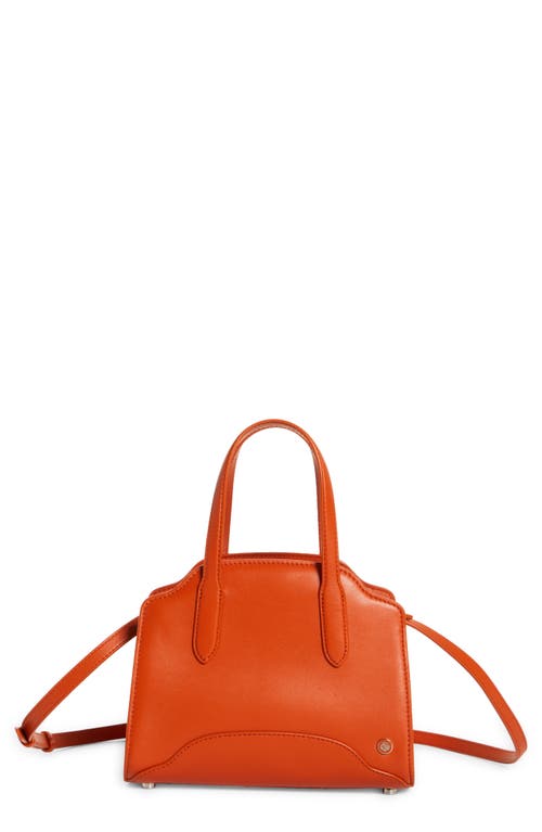 19202093~orange_0.jpg