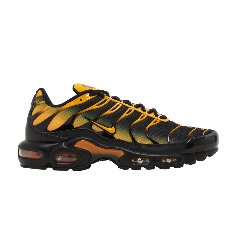 nike air max plus cordura