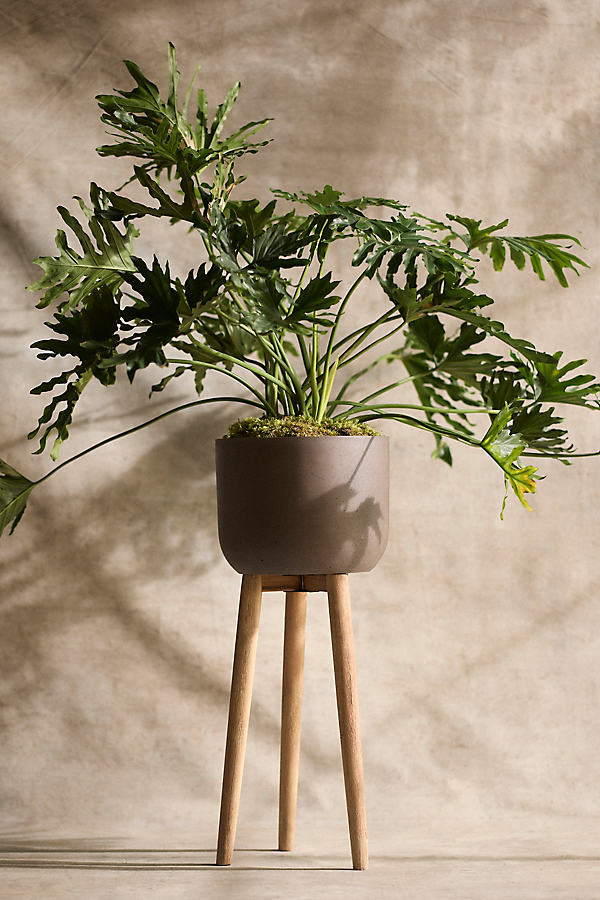 TERRAIN Tri-leg Fiber Concrete Planter - Brown | Editorialist