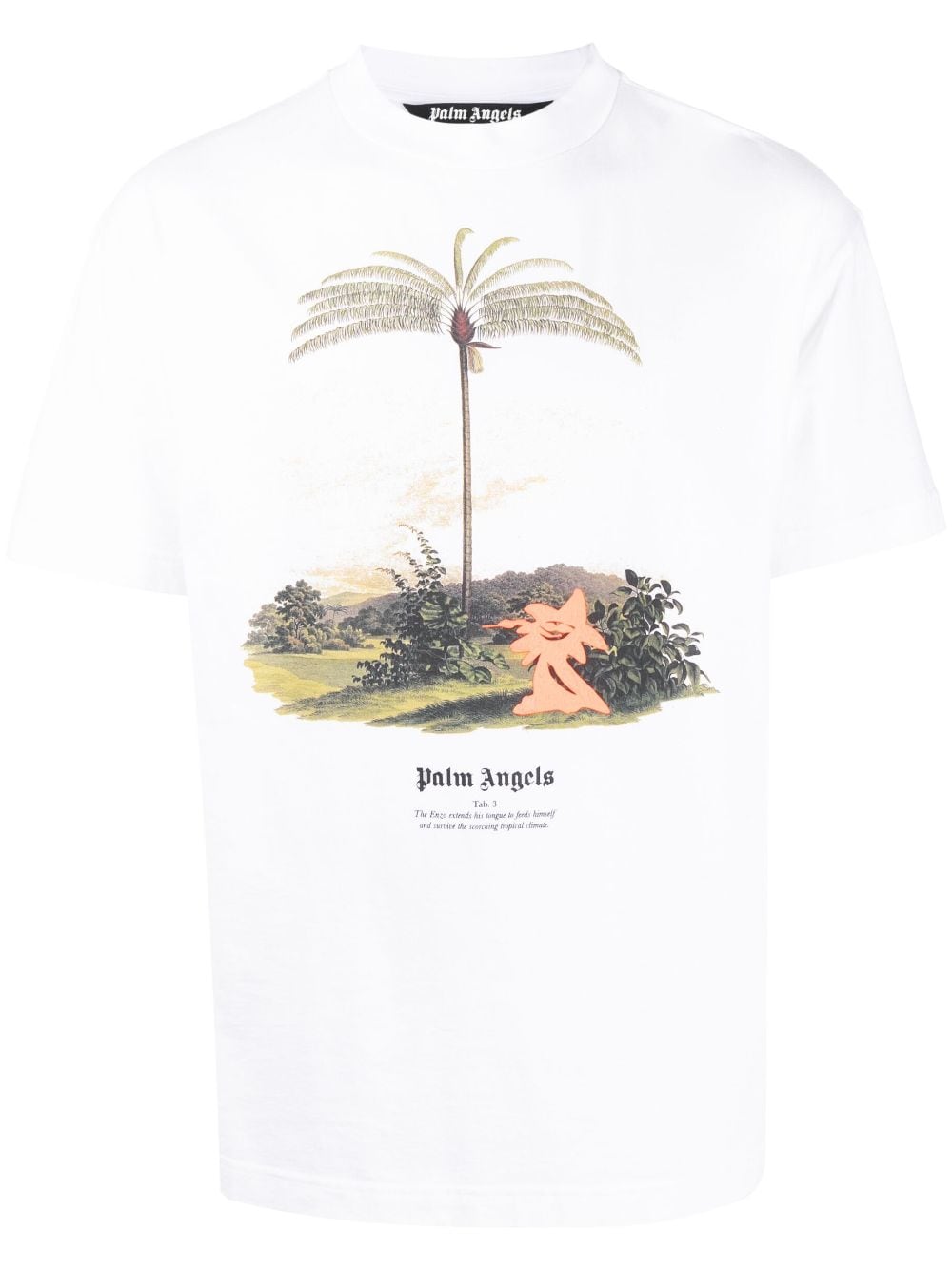 PALM ANGELS 'enzo from the tropics' t-shirt