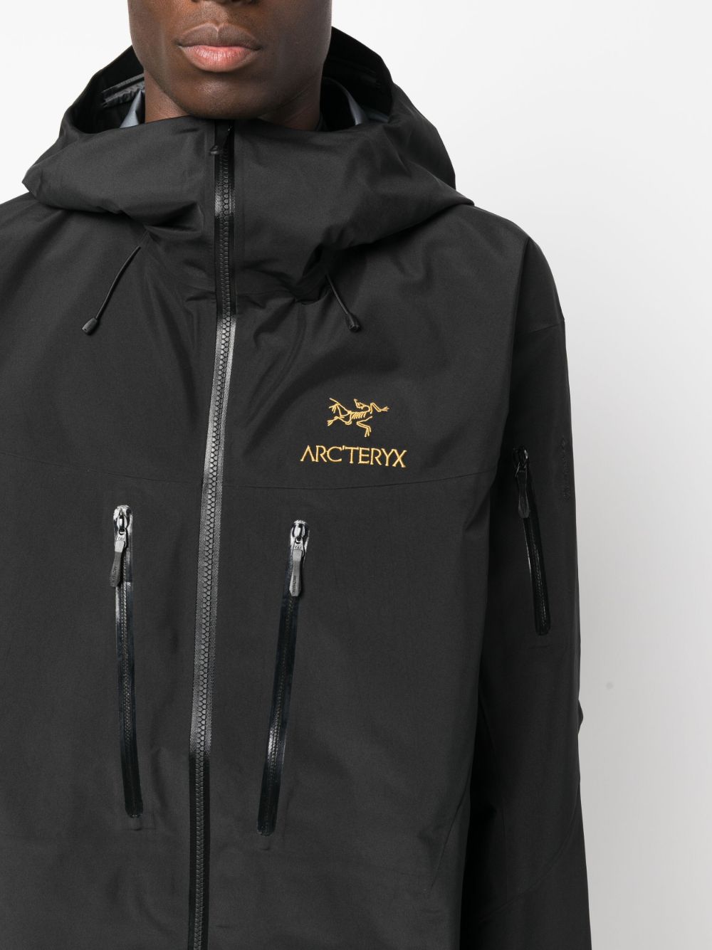 2018年 ARC'TERYX Alpha SL Jacket GORE-TEX Arc'Teryx Alpha Sv Gore-Tex® Hooded Jacket - Black | Editorialist