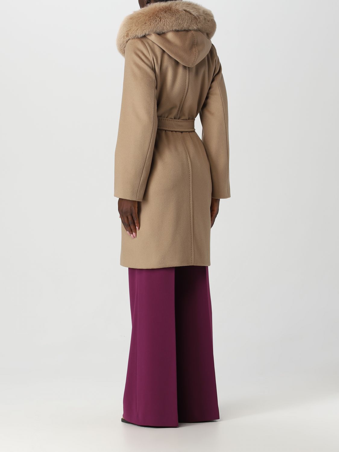 25267185~camel_1.jpg