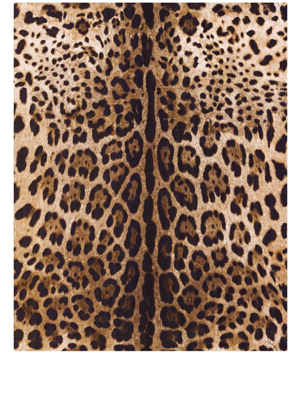 Dolce \u0026 Gabbana Leopard-print Wallpaper - Brown, image size:1000x1334