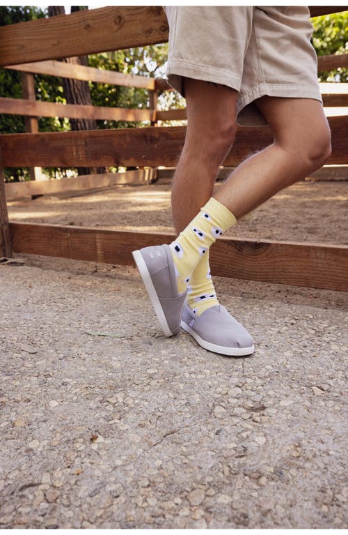TOMS TOMS Alp Fwd Sneaker