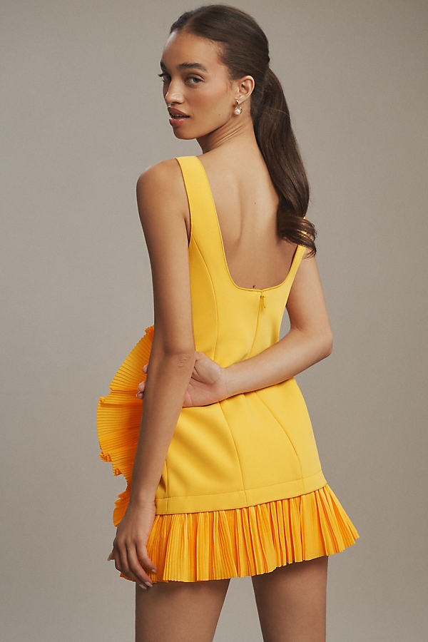knee length dresses for ladies Aisha Ruffle Mini Dress main image 1