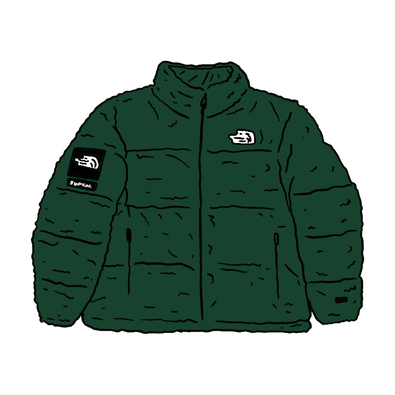 Supreme The North Face Faux Fur Nuptse Jacket - Green | Editorialist