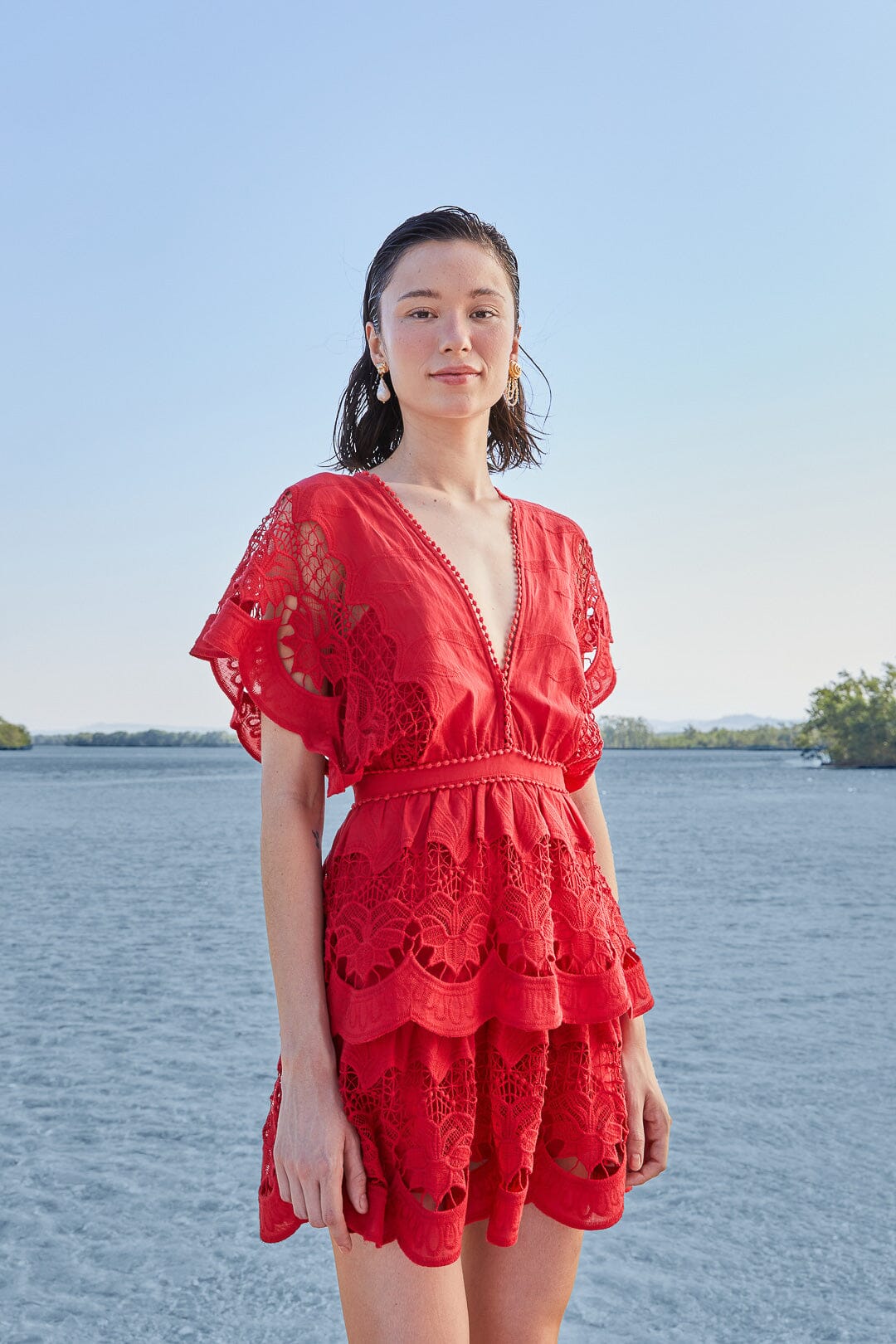 farm rio red mini dress Red 3D Flower Bodice Mini Dress FARM Rio