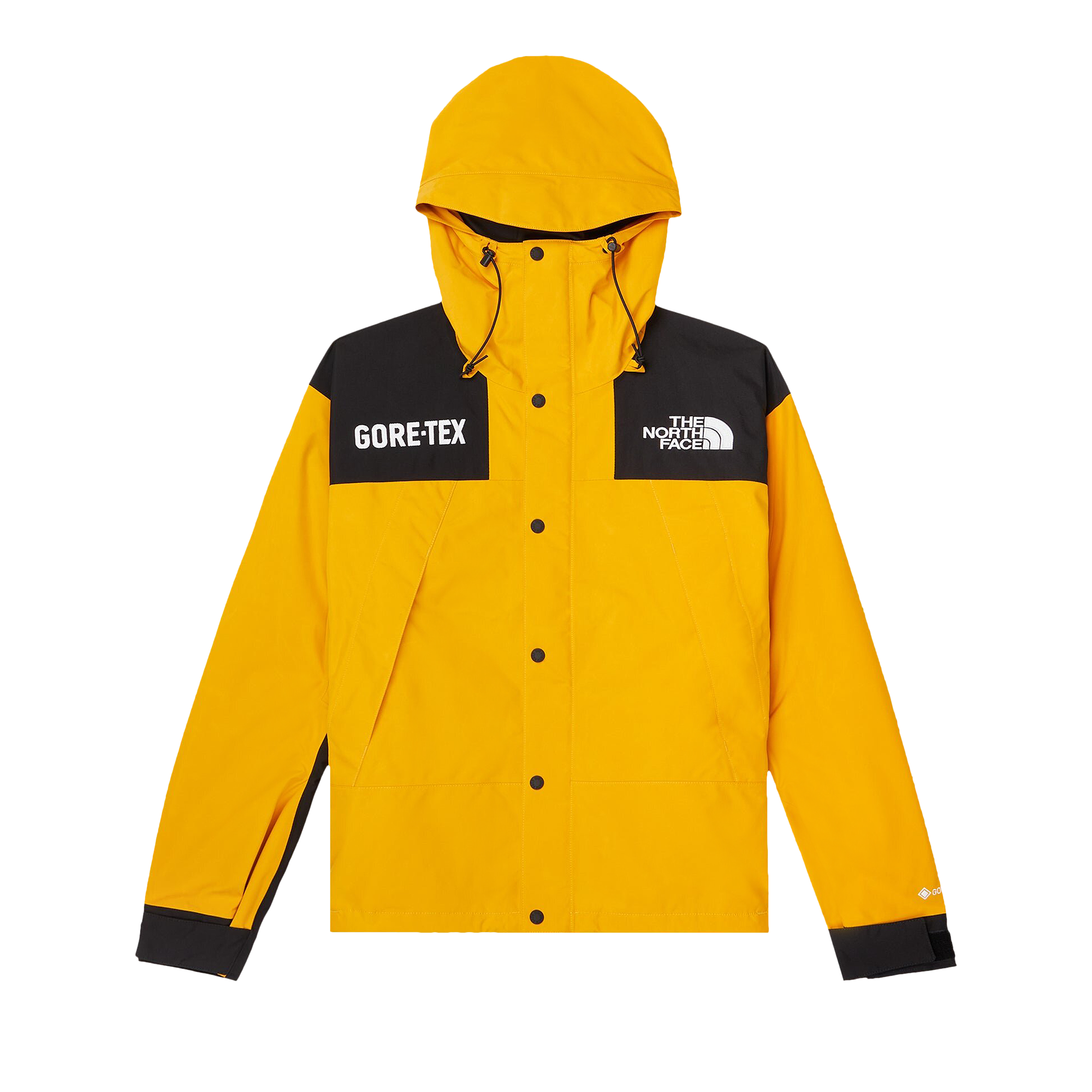 The North Face Gtx Mountain Jacket - Gold | Editorialist