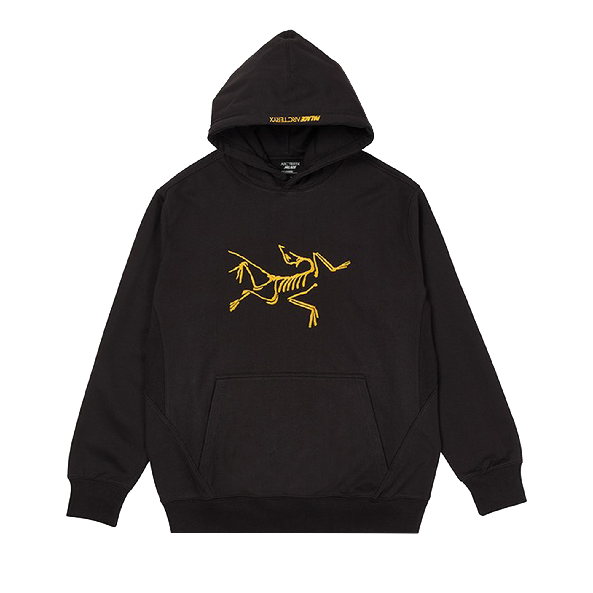 Arc'Teryx Leston Hoodie - Black | Editorialist