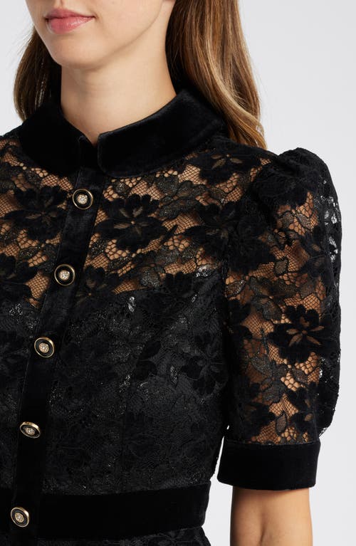 Tahari Asl Metallic Lace & Velvet Shirt Dress - Black - 60% Off |  Editorialist