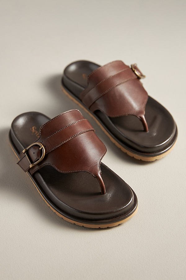 seychelles santa cruz thong sandal Brown Size:8.5 Seychelles Thong Sandals for Women for sale | eBay main image 3