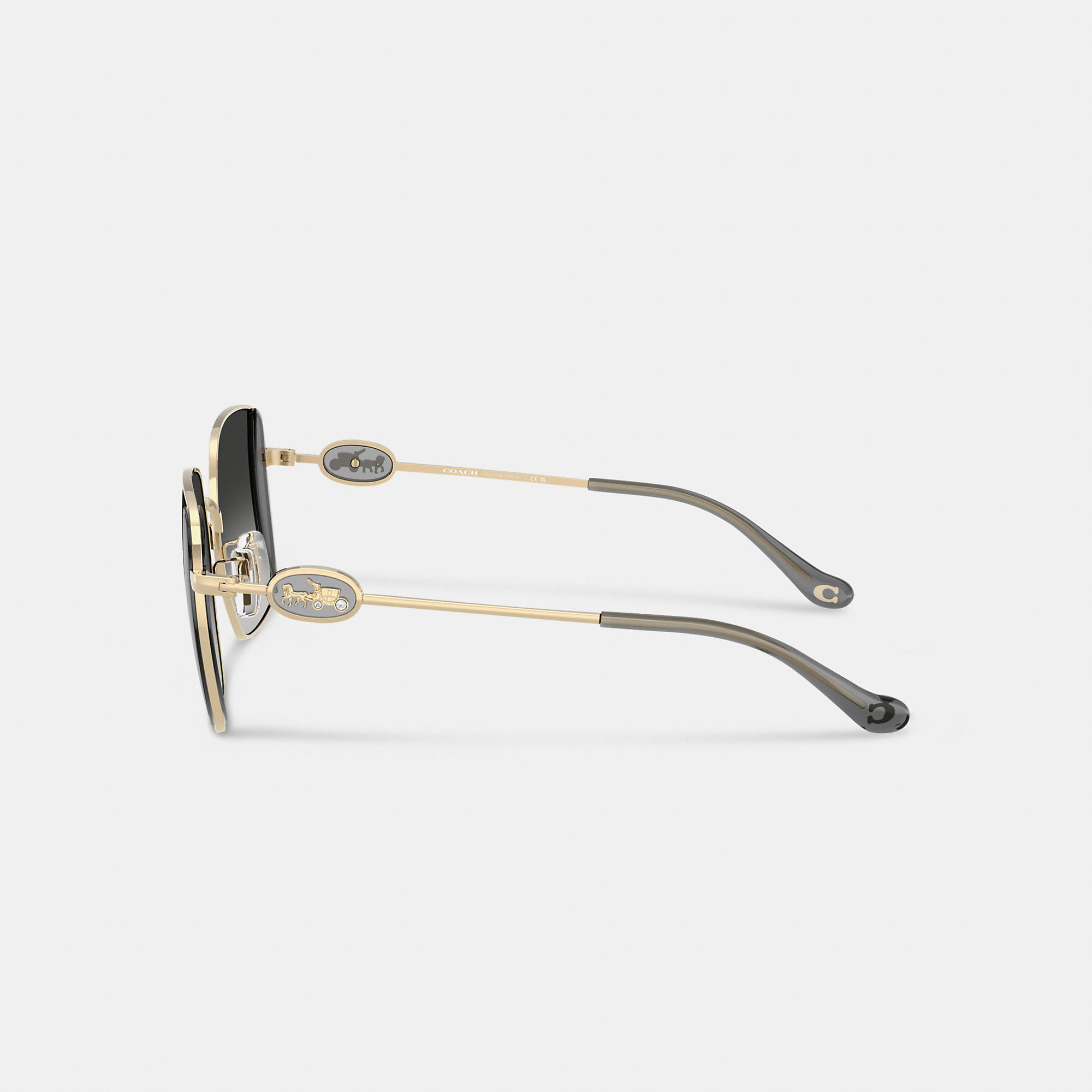 Coach oversized square sunglasses horse & carriage display picture 2