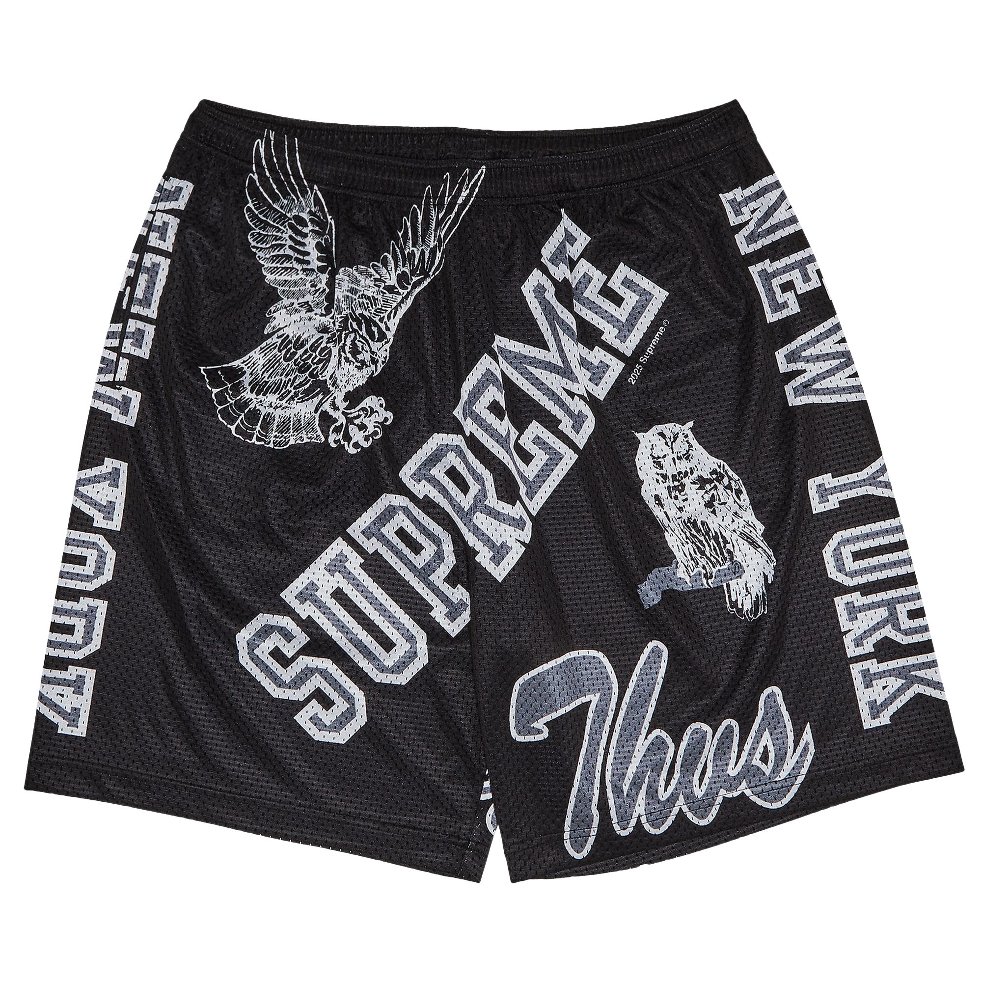 Supreme Michael Jackson Dangerous Mesh Short - Blue | Editorialist
