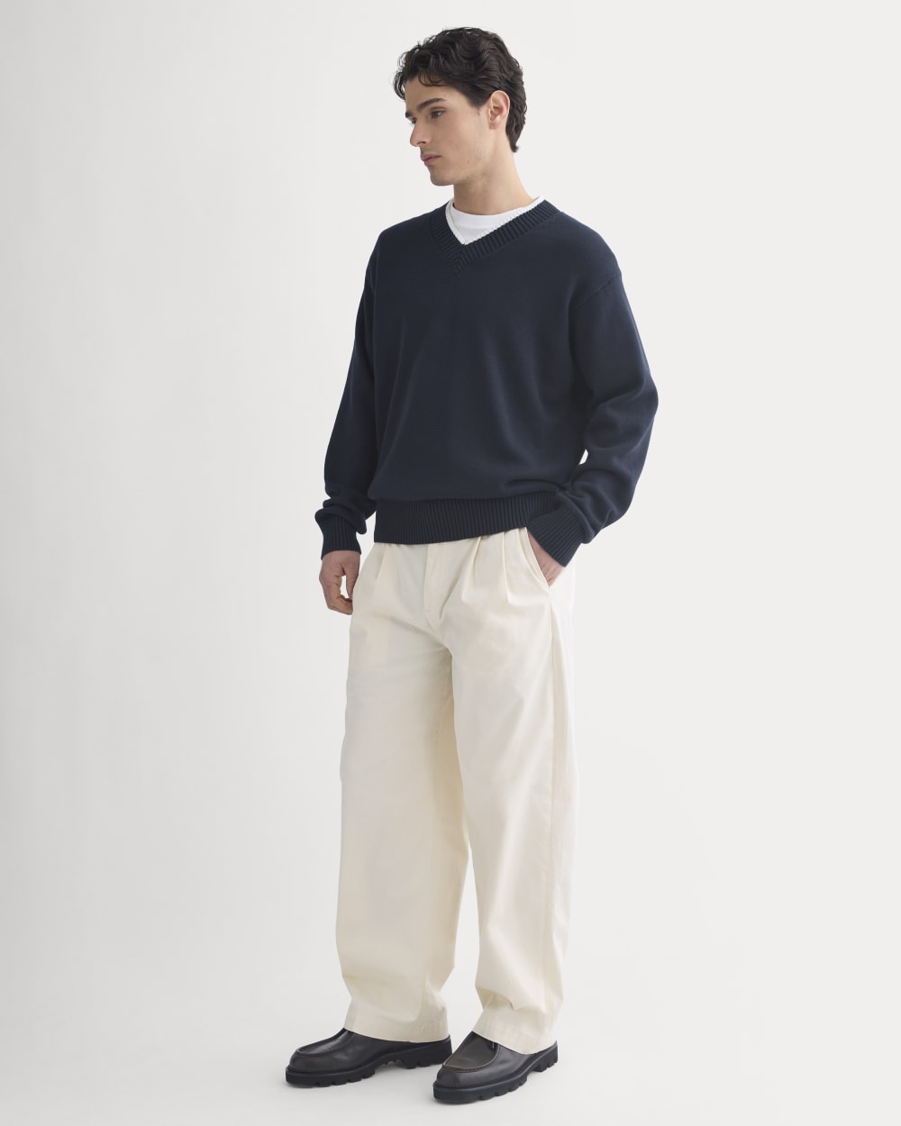 EVERLANE Everlane Pull-On Pleated Twill Trousers