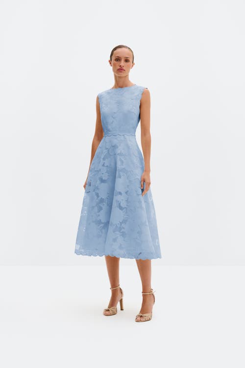 MALINA Elin Round Neck Lace A-Line Dress