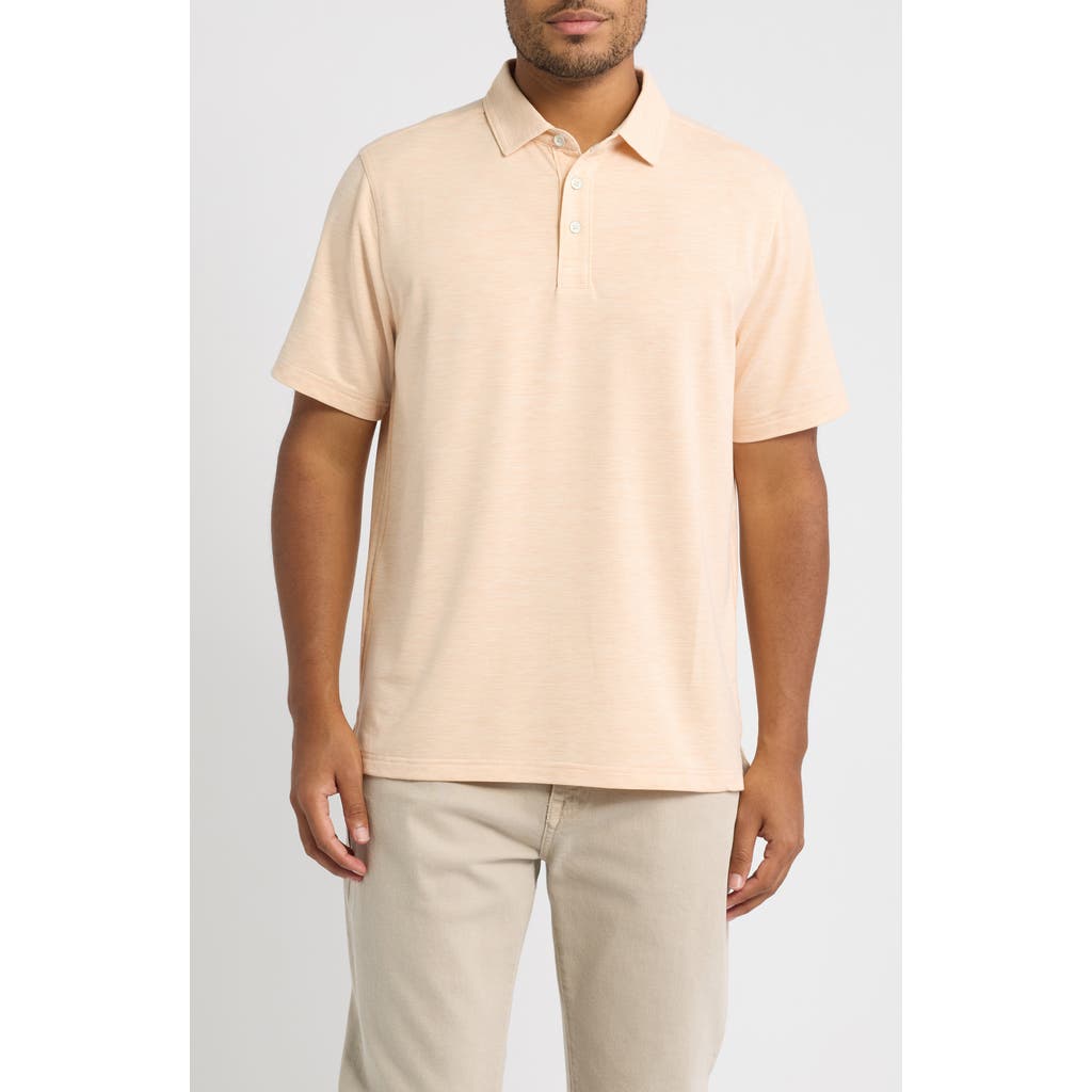 TOMMY BAHAMA coasta vera porto polo