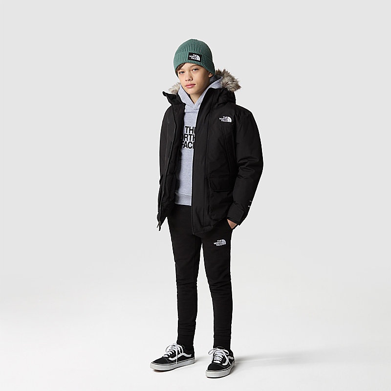 THE NORTH FACE The North Face McMurdo Parka Down Jacket