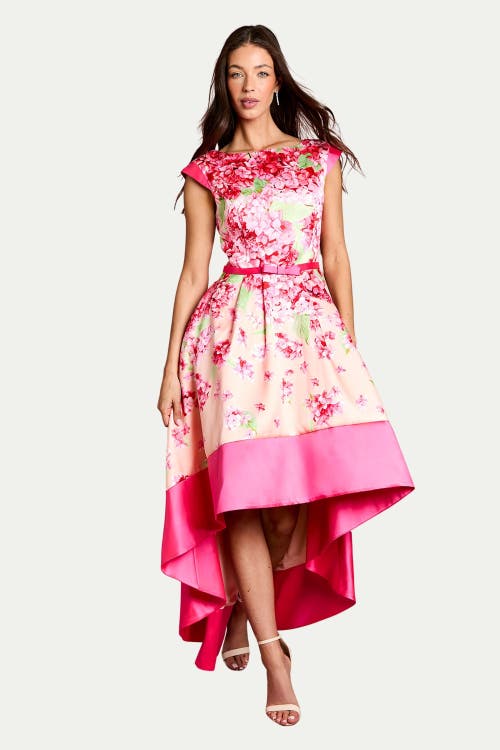 COAST Coast Floral Printed Twill Midi Dress