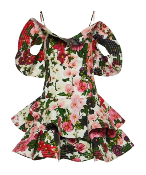 ROTATE BY BIRGER CHRISTENSEN ROTATE BIRGER CHRISTENSEN x Reina Olga Floral-Print Mini Dress