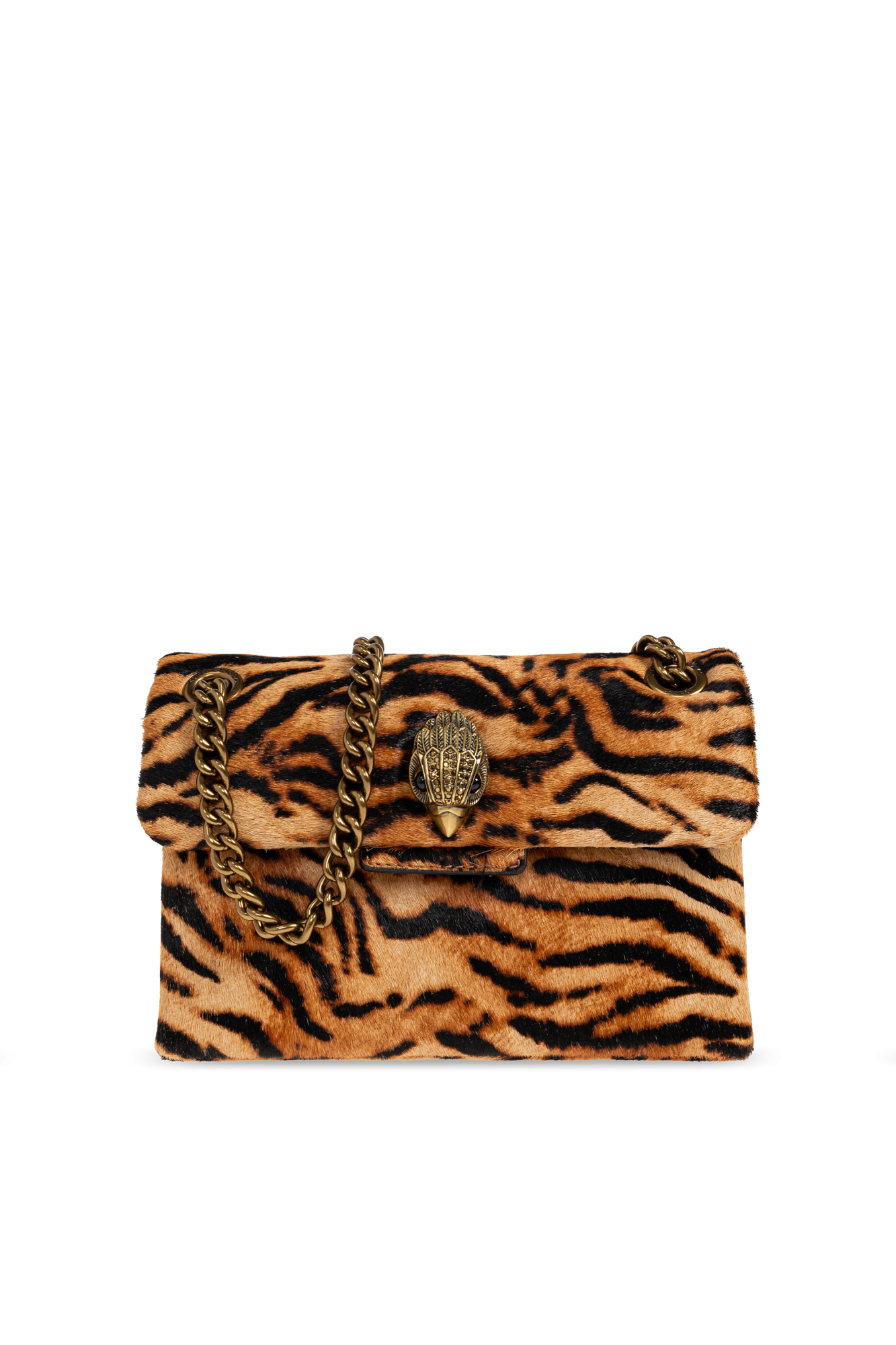 DOLCE & GABBANA Dolce & Gabbana Leo-Print Poplin Shorts