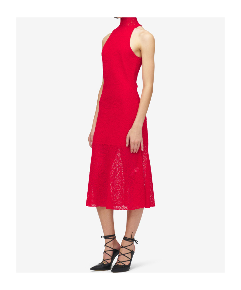 ALEXANDER MCQUEEN Alexander McQueen Spider Lace High Neck Midi Dress