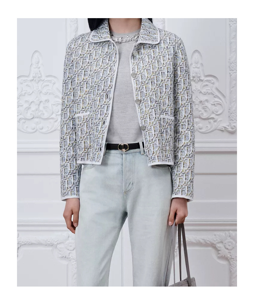 DIOR Dior Long Sleeve Casual Jacket with CD Buttons