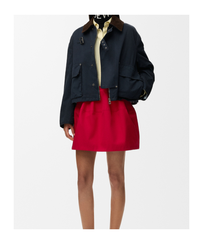 LOEWE Loewe Balloon Skirt in Cotton and Silk